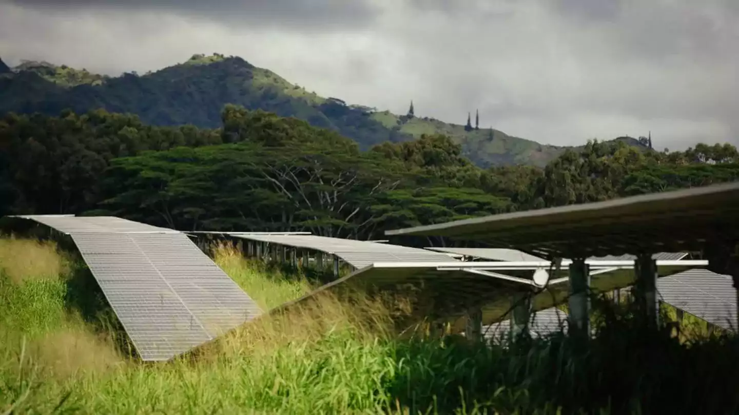 Kaua'i Island Utility Cooperative establece un nuevo estándar para la ...